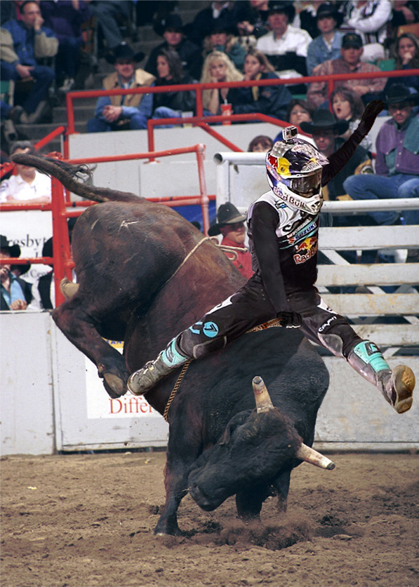 Best of Bubba thread - Moto-Related - Motocross Forums / Message Boards ...