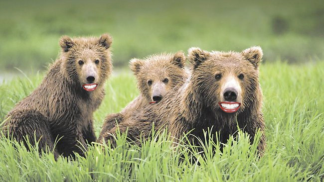 Congrats boys (Ellie Reed) - Moto-Related - Motocross Forums / Message ...