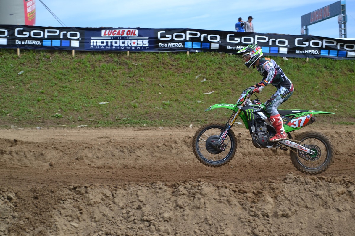 Red Bud; An Exclusive, Entertaining, Explosively Excellent Expose ...