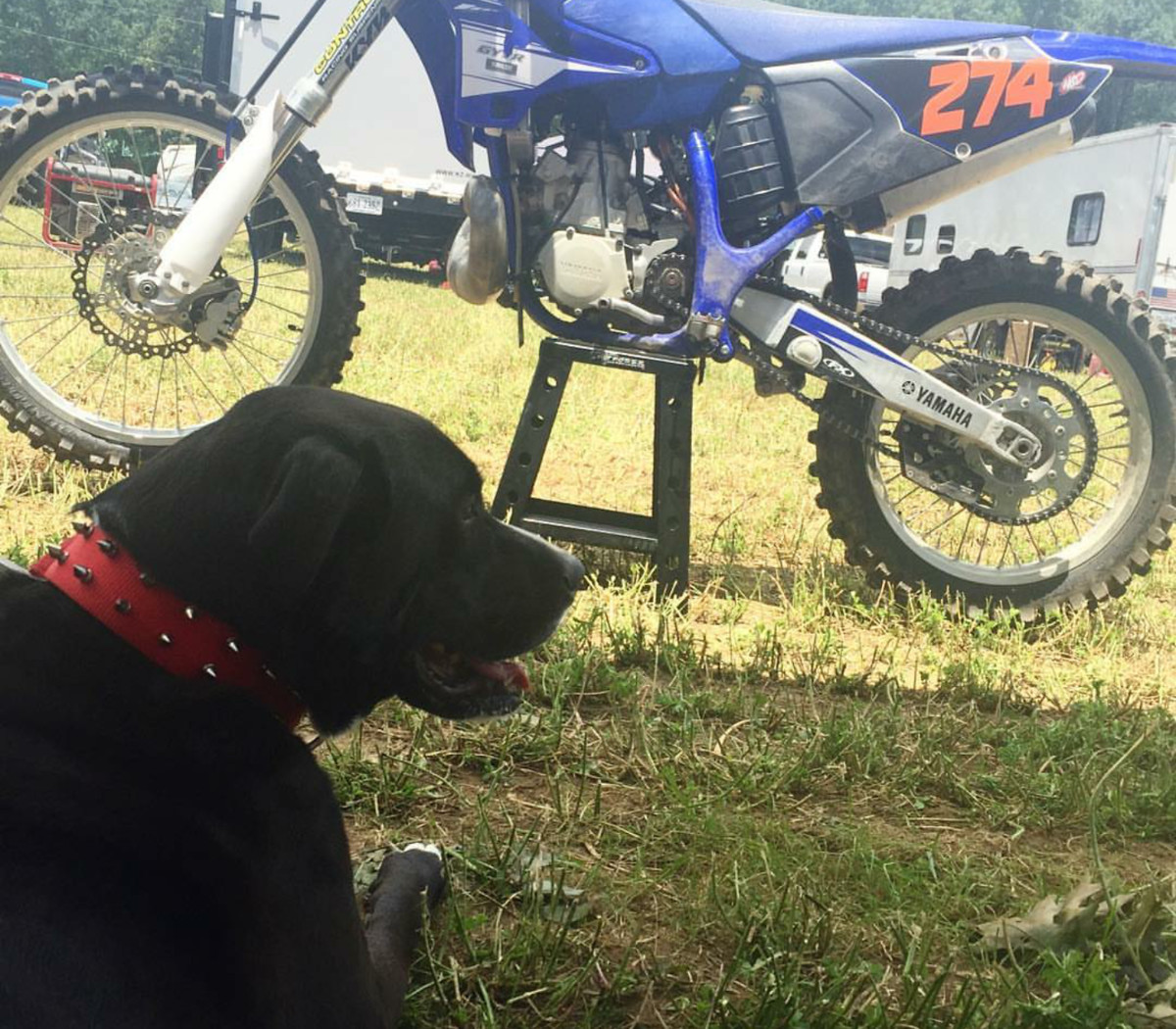 Time for another.... Show us your moto Dogs..... - Moto-Related ...
