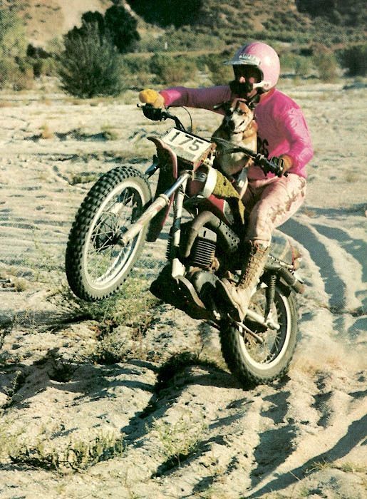 Maverick, need help ................ MOTO-DOG !!! - Moto-Related ...