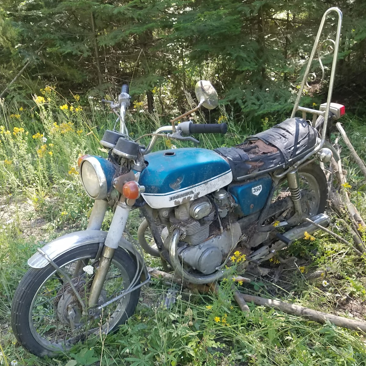 69 Honda cb350 find - Non-Moto - Motocross Forums / Message Boards ...