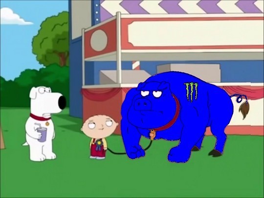 Blue Pig Huh? - Moto-Related - Motocross Forums / Message Boards - Vital MX