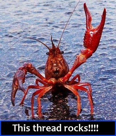 No Comments Likes Only - Moto-Related - Motocross Forums / Message ...