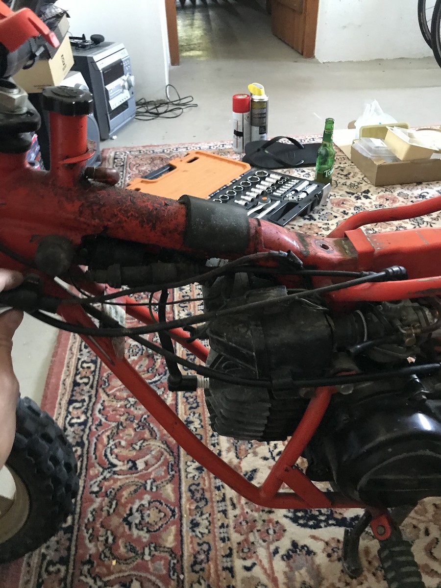 1991 HONDA QR50 Restauration - Bike Builds - Motocross Forums / Message ...