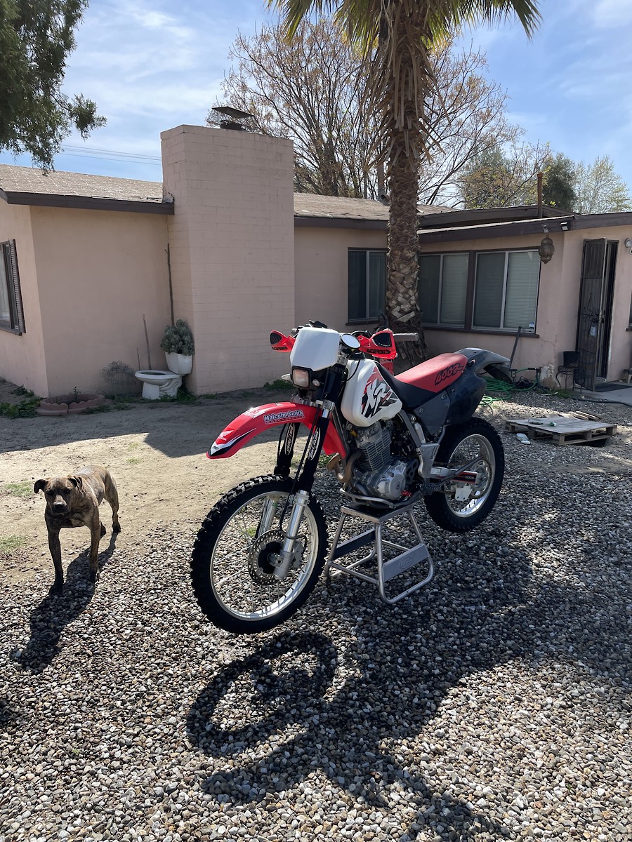 1998 xr400 - Off-Road and Adventure - Motocross Forums / Message Boards ...
