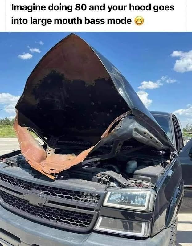 Log Hopper's Profile - Vital MX