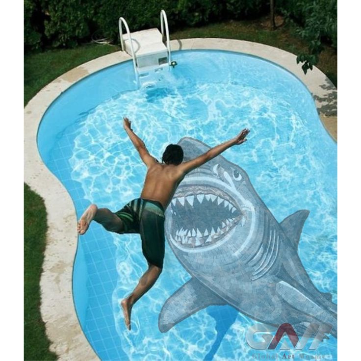 Fatal shark attack in Hawaii - Non-Moto - Motocross Forums / Message ...