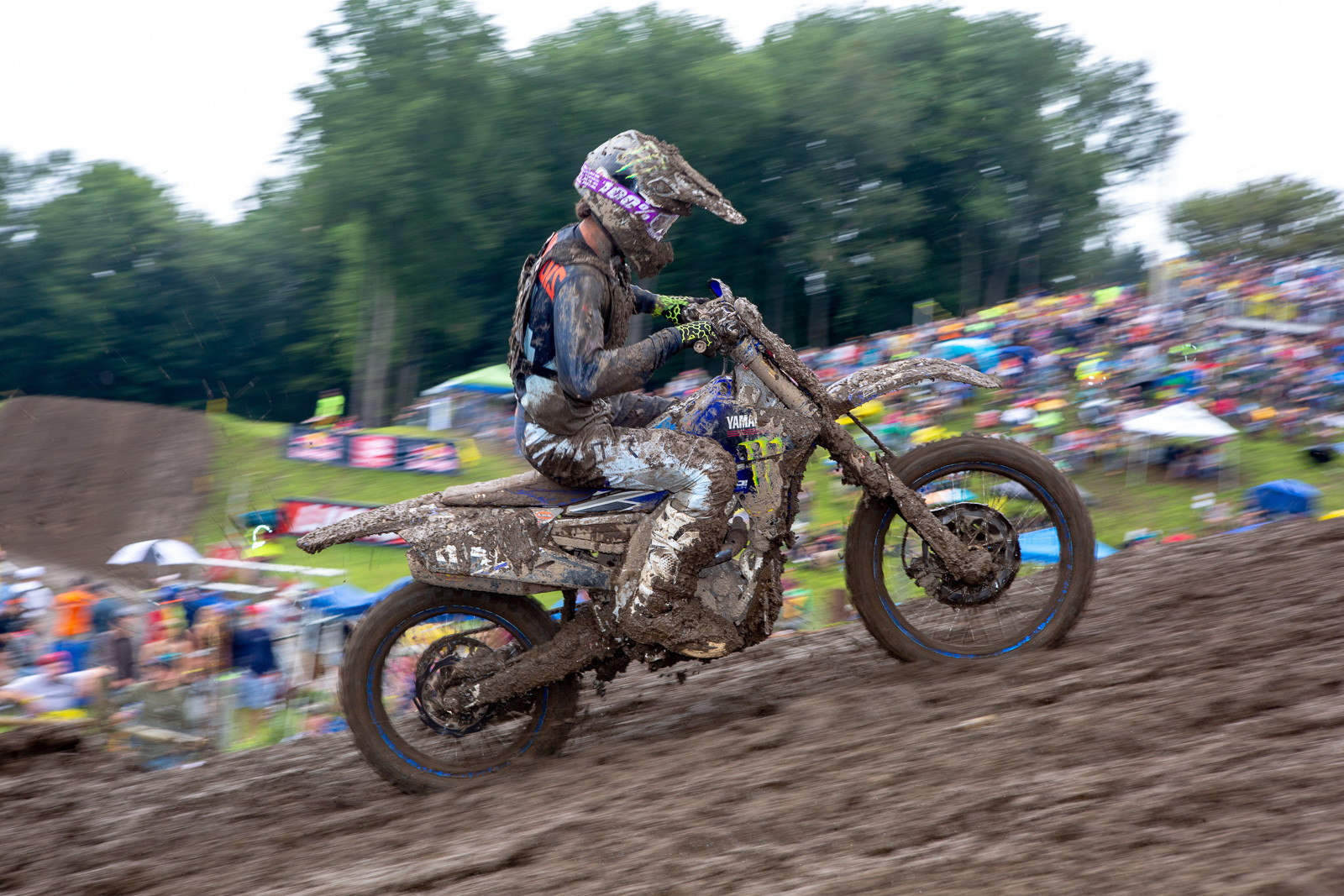 View From The Infield: French Dip - Motocross Feature Stories - Vital MX