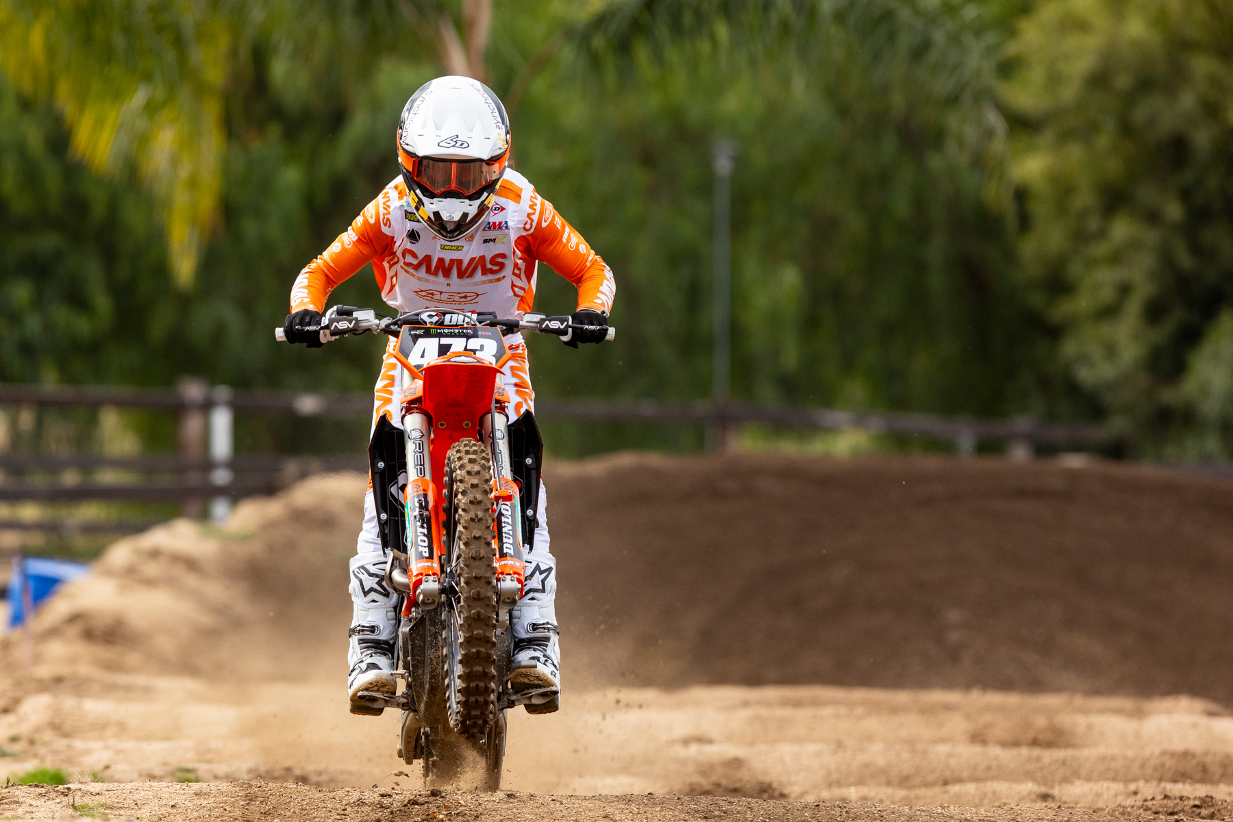 Time to Shine | A New Field of Rookies - Motocross Feature - Vital MX