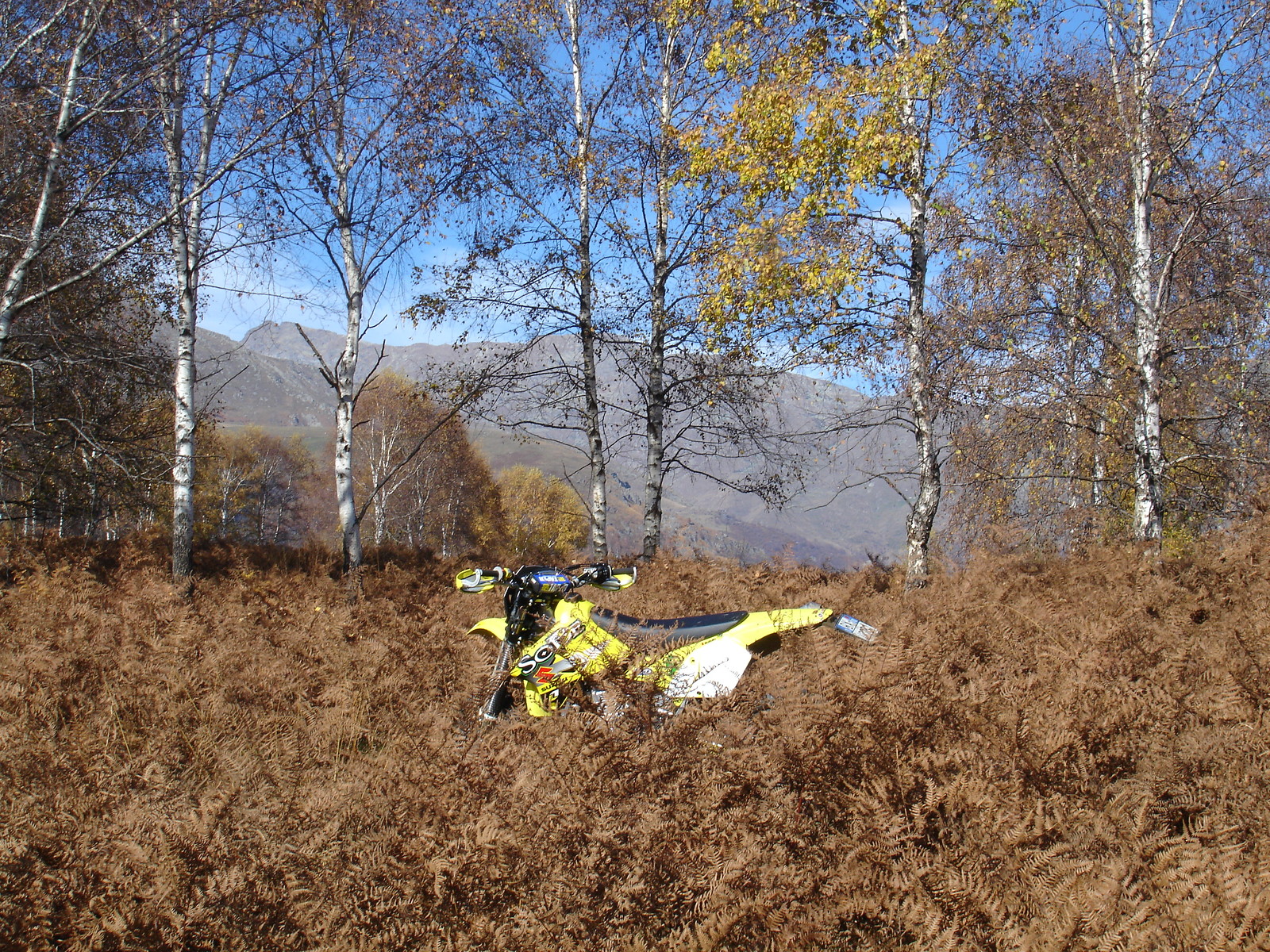 break - JOE FALCHETTO - Motocross Pictures - Vital MX