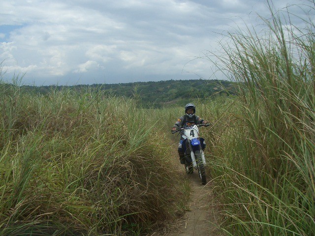 YZ250 - trail_rider - Motocross Pictures - Vital MX