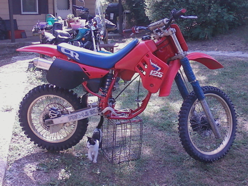 1987 Honda CR125R (RS) - Jeremy_Cook - Motocross Pictures - Vital MX