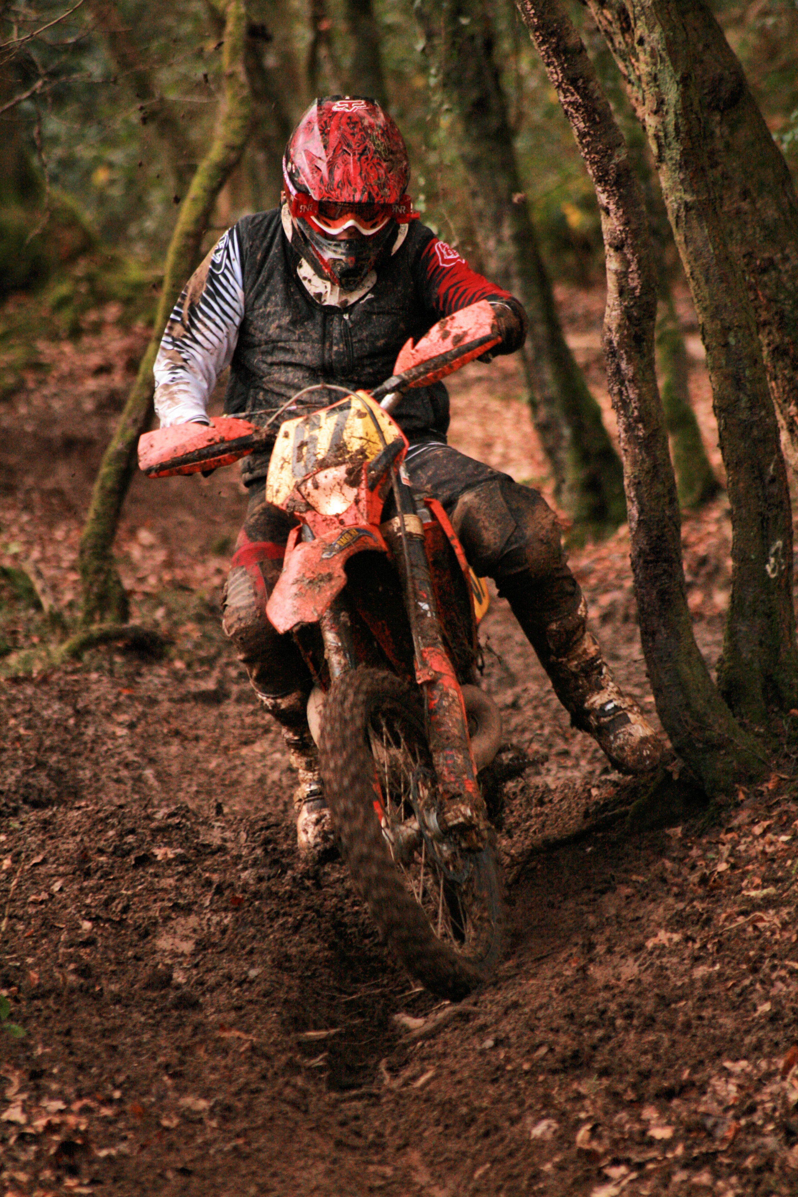 Ross Parkyn - AlexLaw - Motocross Pictures - Vital MX