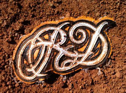 RDrd - ocscottie - Motocross Pictures - Vital MX