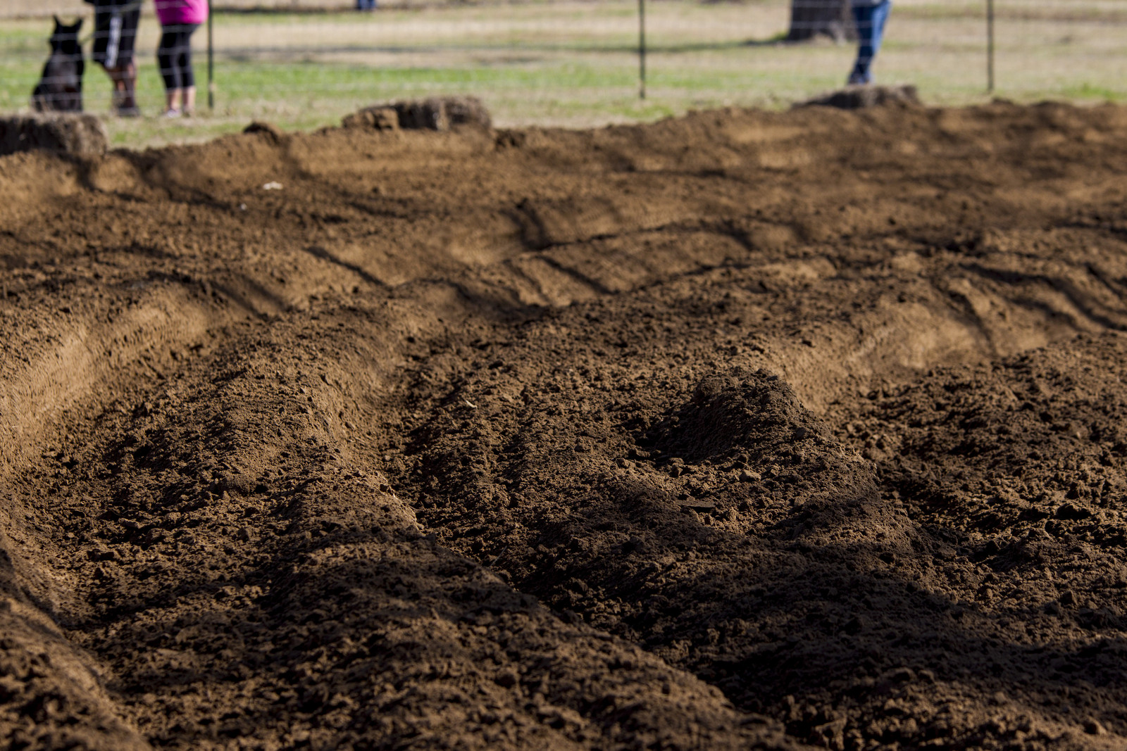 Ruts - GD2 - Motocross Pictures - Vital MX