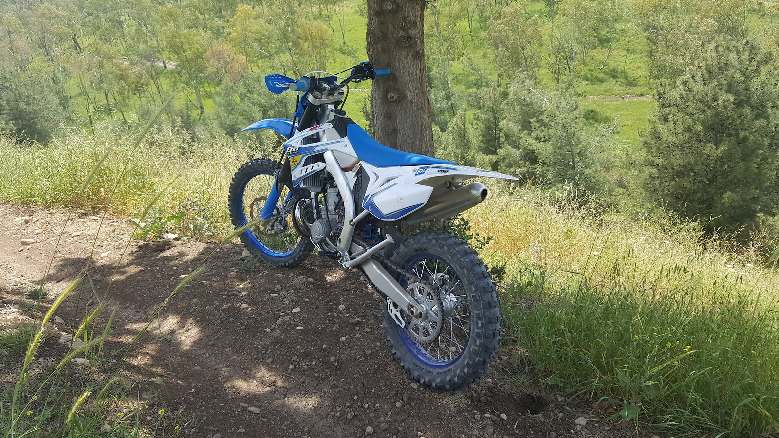 TM250 2ST 17 - nativatieli@walla.com's Bike Check - Vital MX