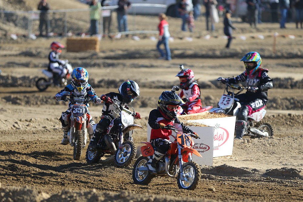 Pee-Wees - Red Bull A Day In The Dirt 16 - Motocross Pictures - Vital MX
