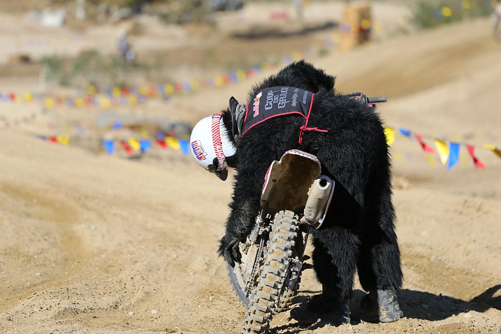 Monkey business - Red Bull A Day In The Dirt 16 Wrap-up - Motocross ...
