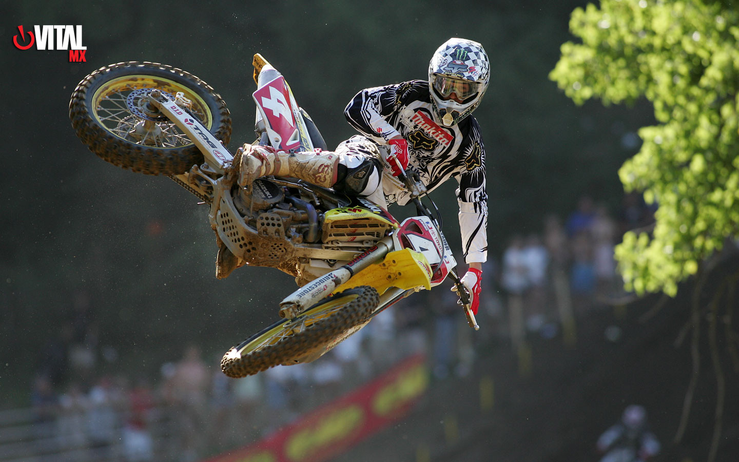 Ricky Carmichael - Eye Candy: 8/15/07 - Motocross Pictures - Vital MX