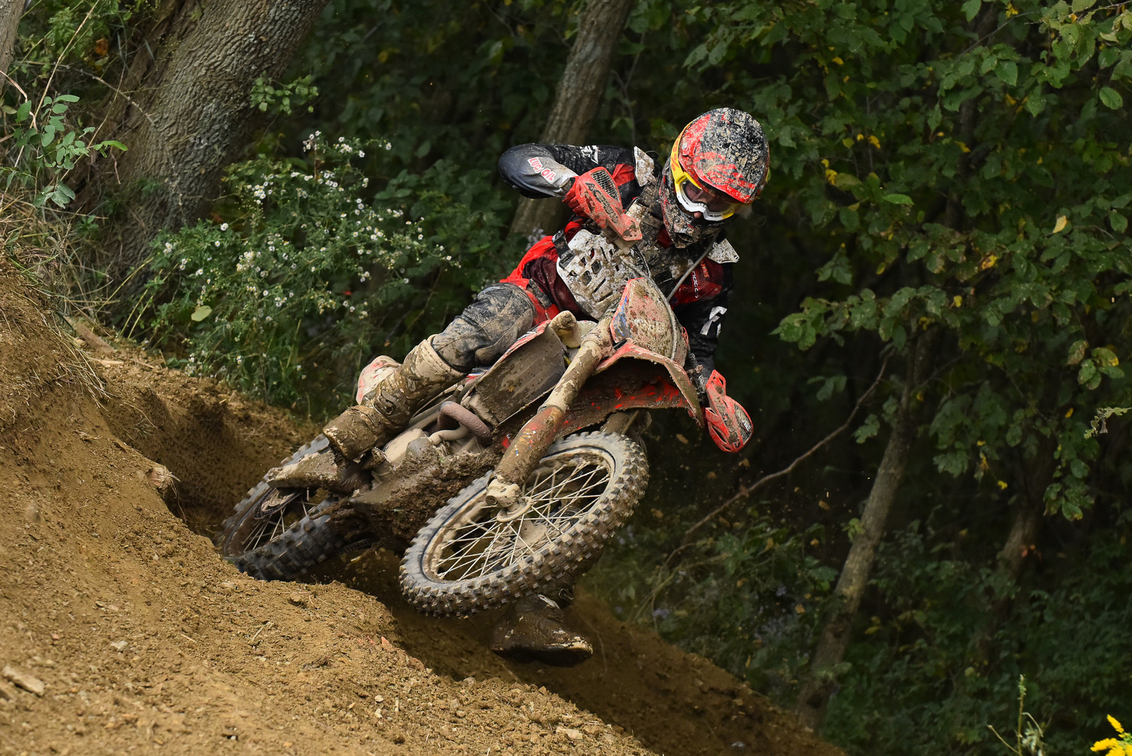 Trevor Bollinger - Powerline Park GNCC - Motocross Pictures - Vital MX