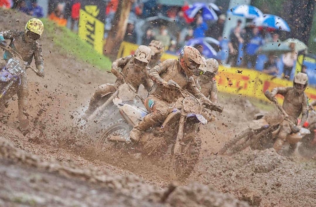 chippo's Profile - Vital MX