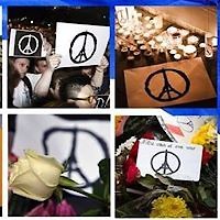 Chuck Lantz's Profile - Vital MX