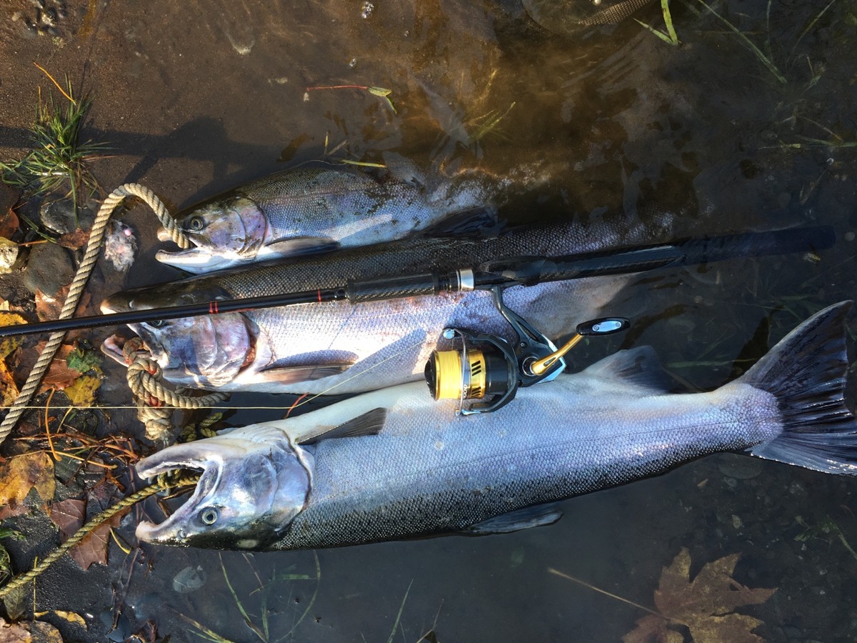 Salmon gear rundown - Non-Moto - Motocross Forums / Message Boards ...