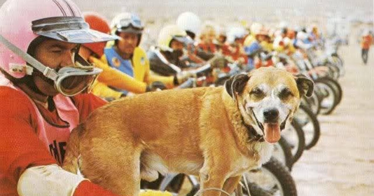 Kookie--the Legend - Non-Moto - Motocross Forums / Message Boards ...