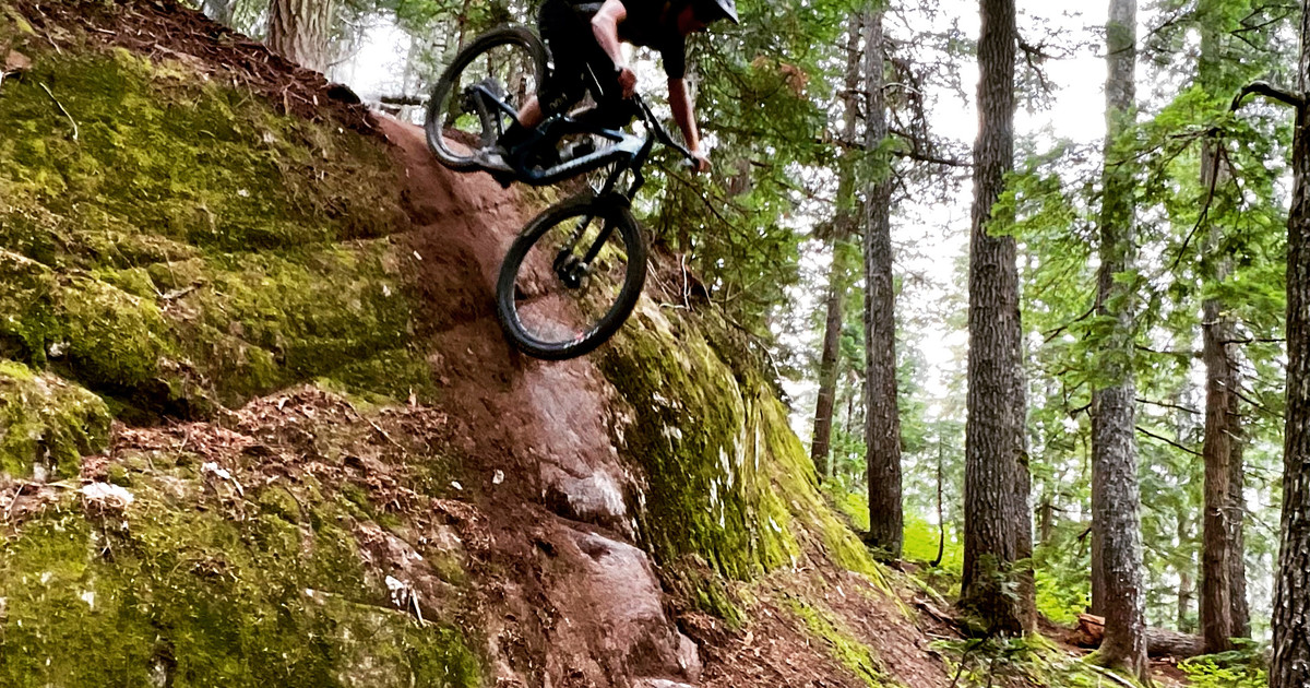 Research: Spinal injuries and being paralysed. - Moto-Related ...