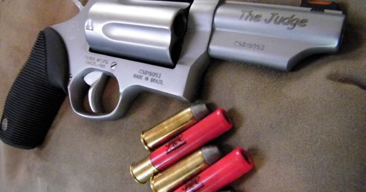 Gun recommendations (for bear defense) - Non-Moto - Motocross Forums ...