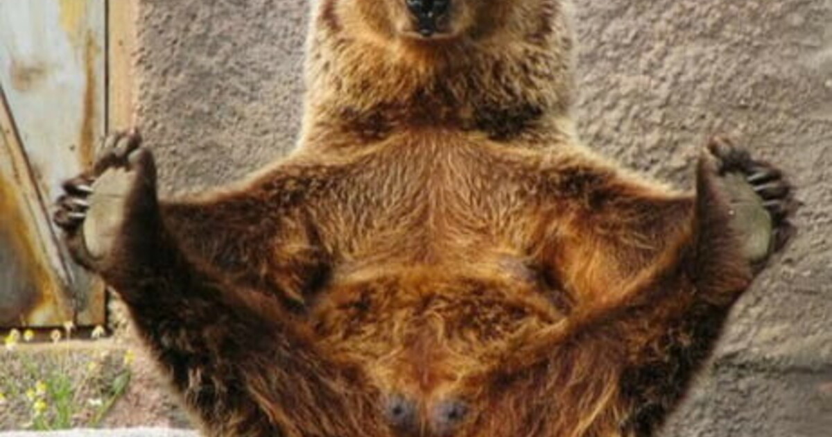 Same old kenny, always choking - The Dumbgeon - Motocross Forums ...