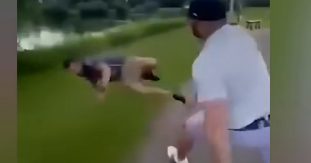 I didn't hear no bell - Non-Moto - Motocross Forums / Message Boards ...